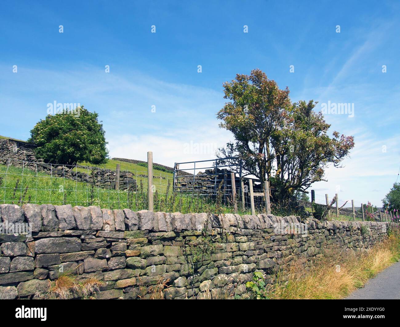 Stone wall along a narrow country lane with new to a hilly meadow with ...