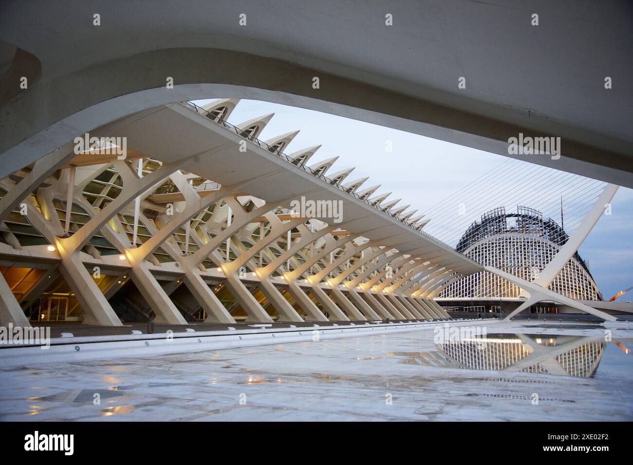 Prince Felipe Museum of Sciences, Agora, City of Arts and Sciences ...
