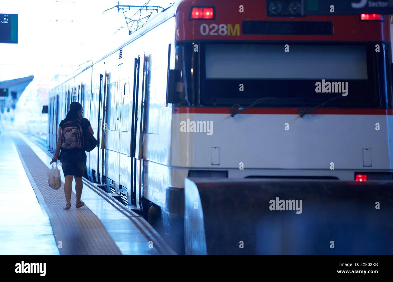 Trains. North Railway Station. Valencia. Comunidad Valenciana. Spain Stock Photo - Alamy