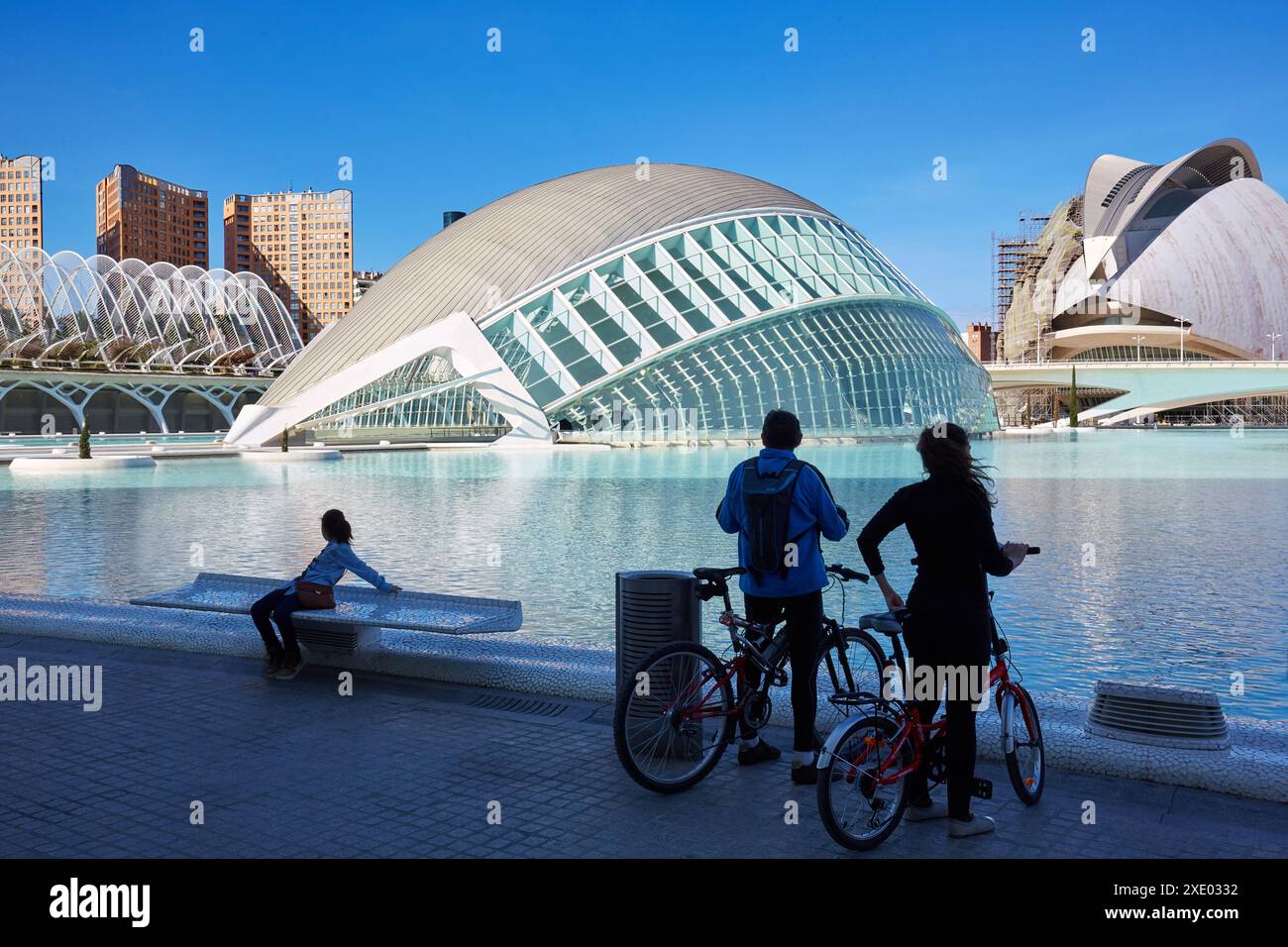 Hemisferic and Queen Sofia Palace of the Arts. CAC. Architect Santiago ...