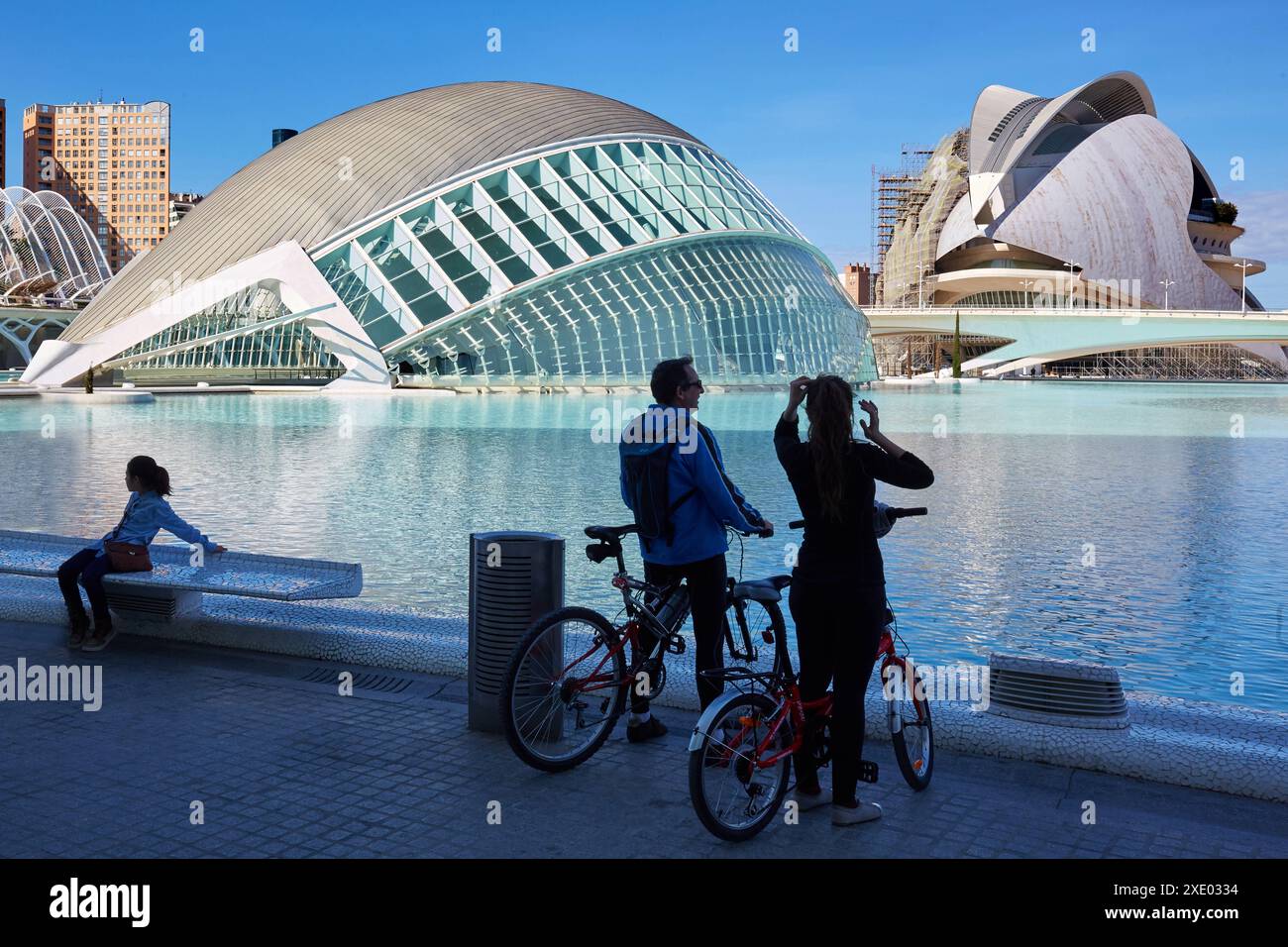 Hemisferic and Queen Sofia Palace of the Arts. CAC. Architect Santiago ...