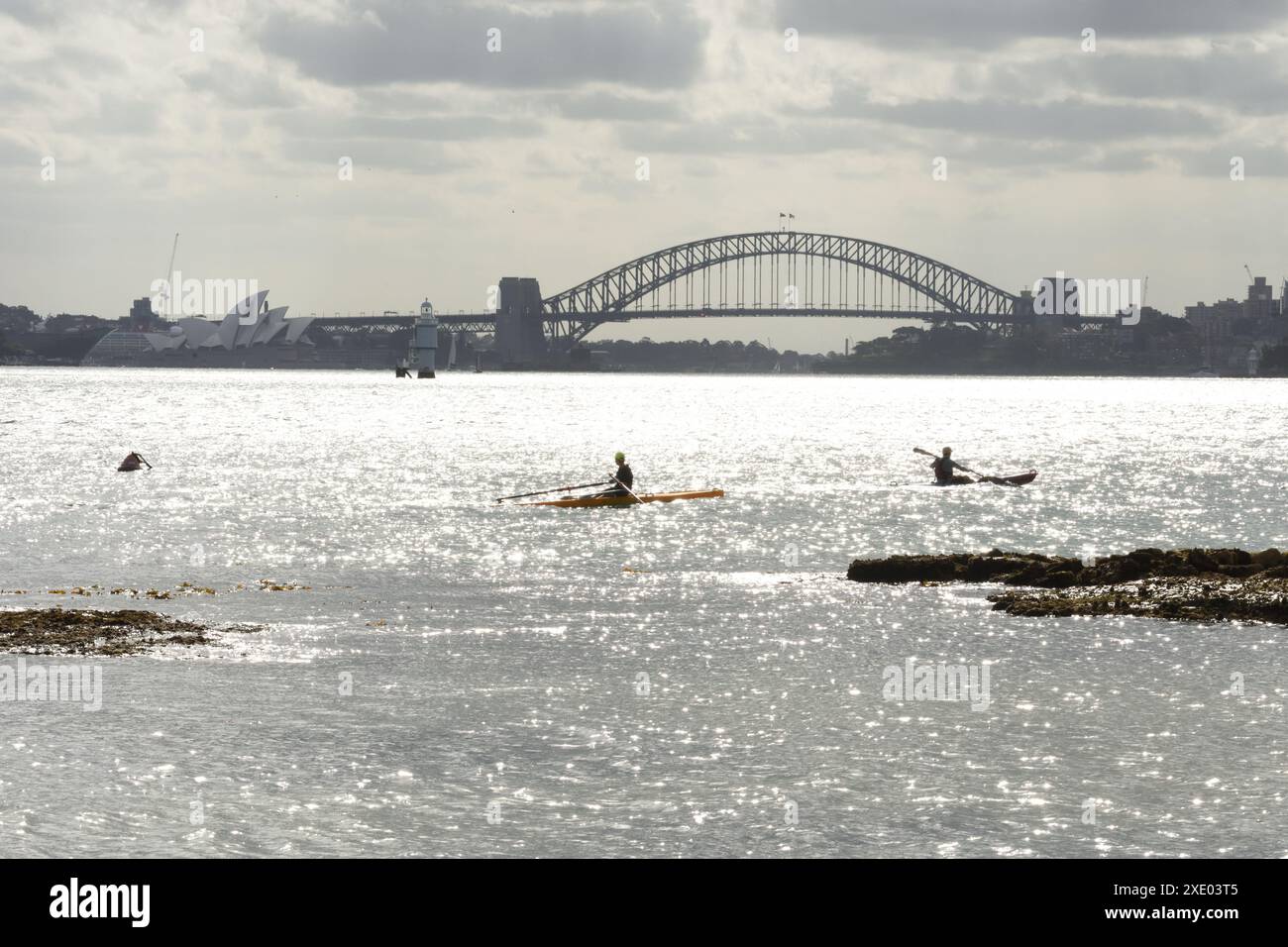 Single sculler and a kayak on a silver Sydney Harbour at Rose bay in ...