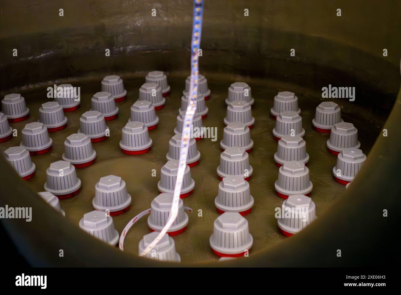 Inside there is a large water purification tank with filters equipped ...