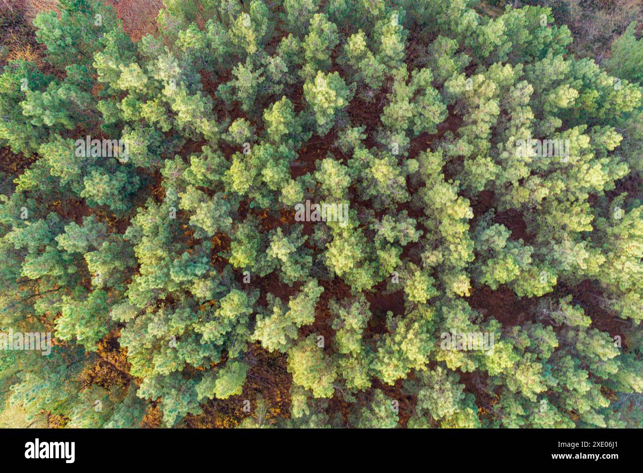 Aerial flyover top down view hi-res stock photography and images - Alamy