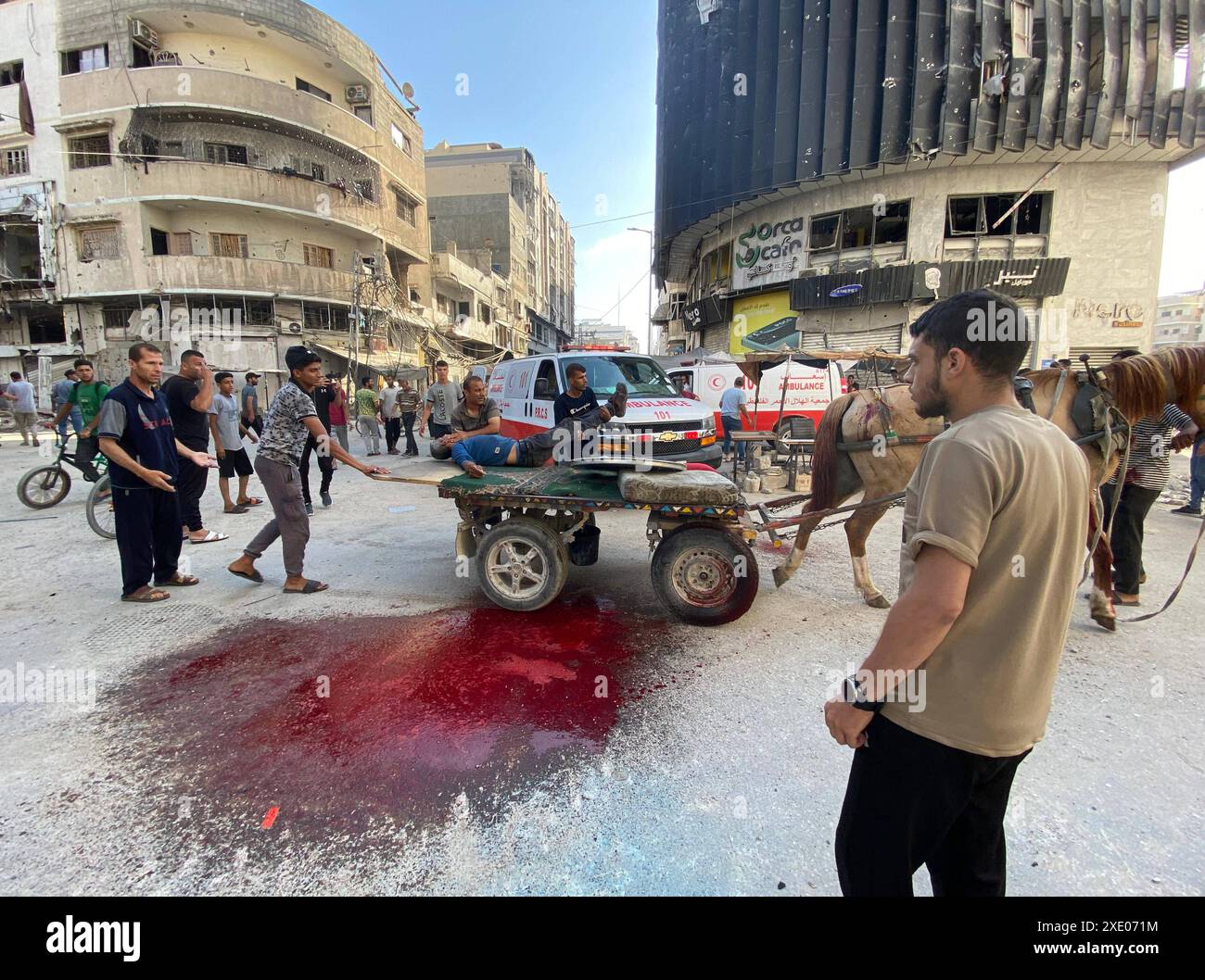 Bodies of Palestinians are seen on the ground after Israeli attacks ...
