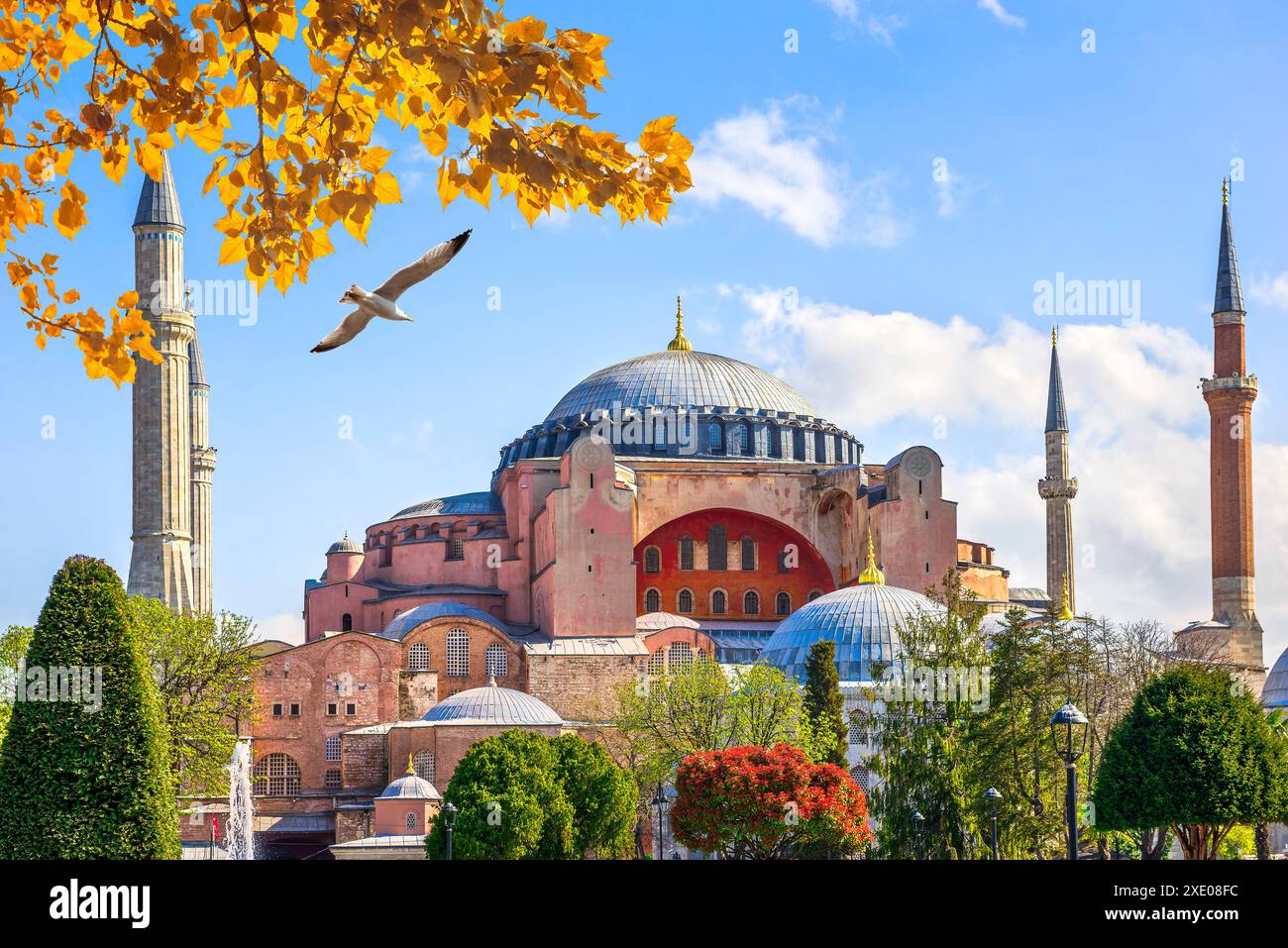 Bird over mosque Stock Photo - Alamy