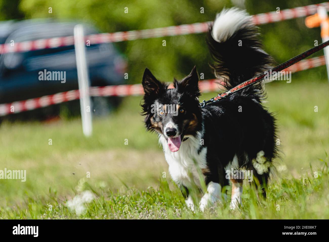 Coursing park hi-res stock photography and images - Alamy