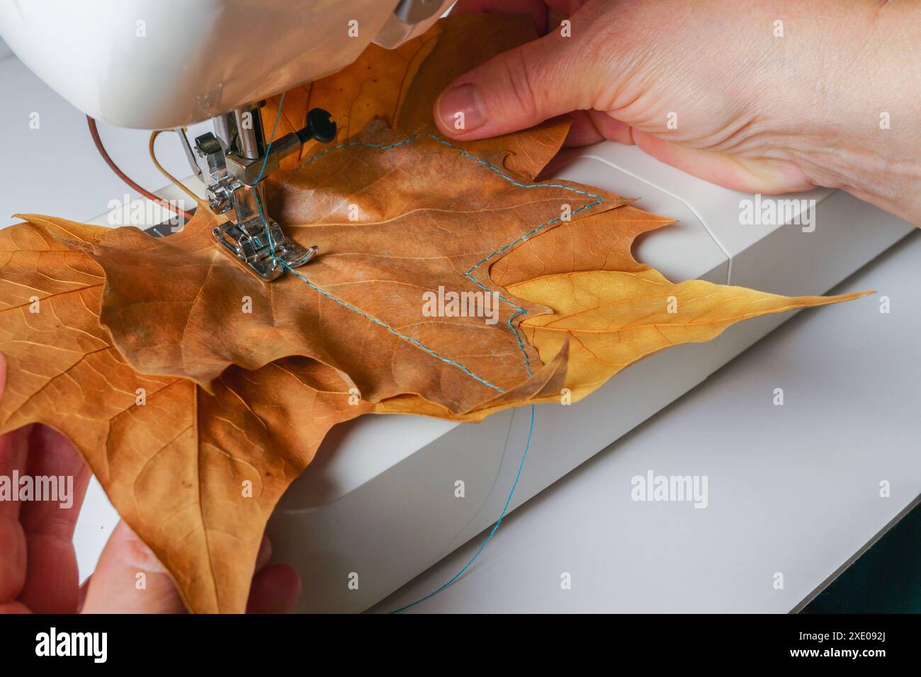 Professional sewing machine close hi-res stock photography and images ...