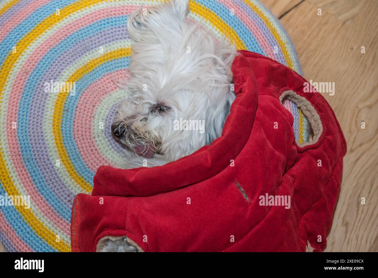 Schlafdecke hi-res stock photography and images - Alamy