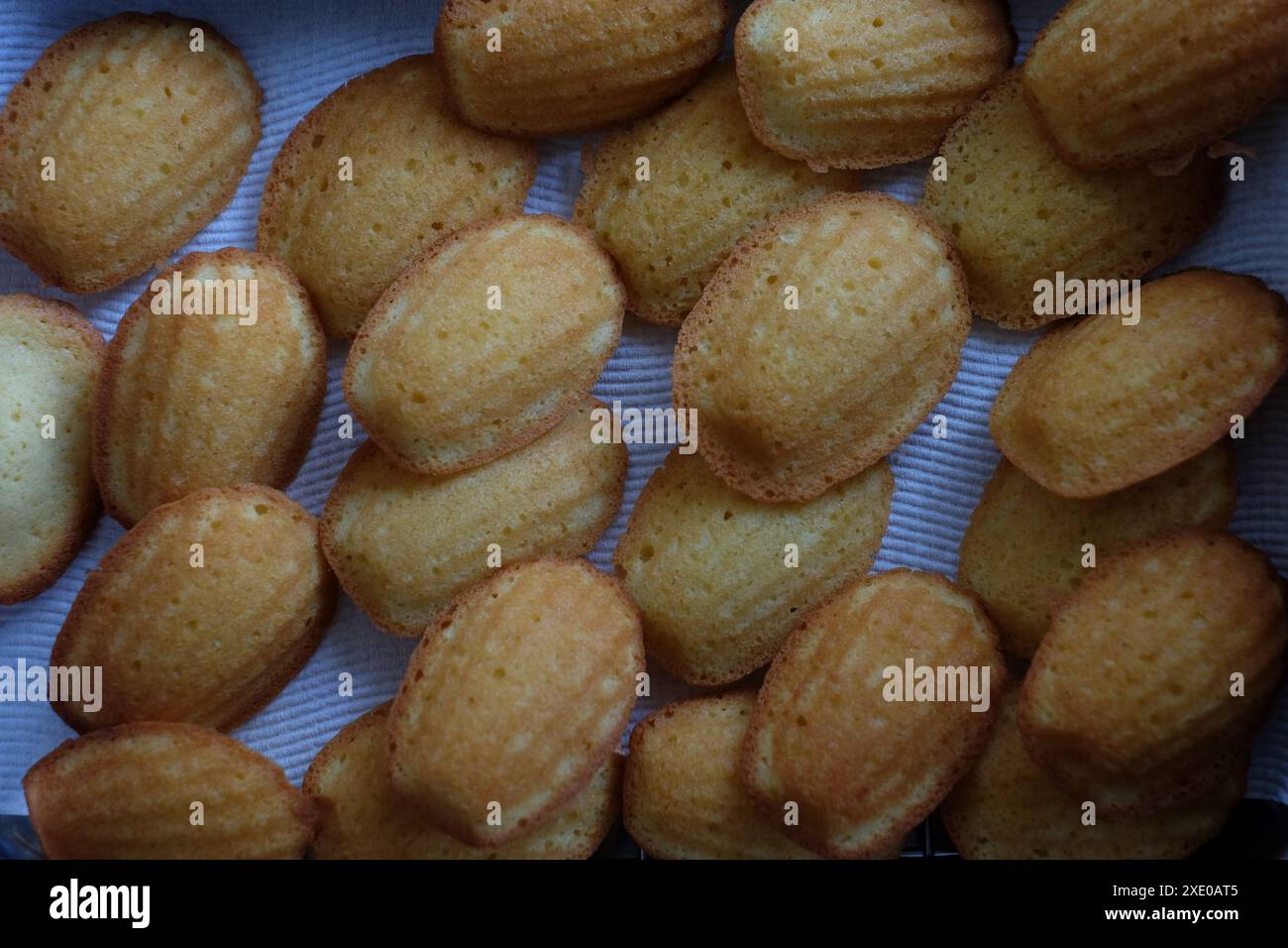 Home made Madeleine cakes turned out onto paper towel on for cooling ...
