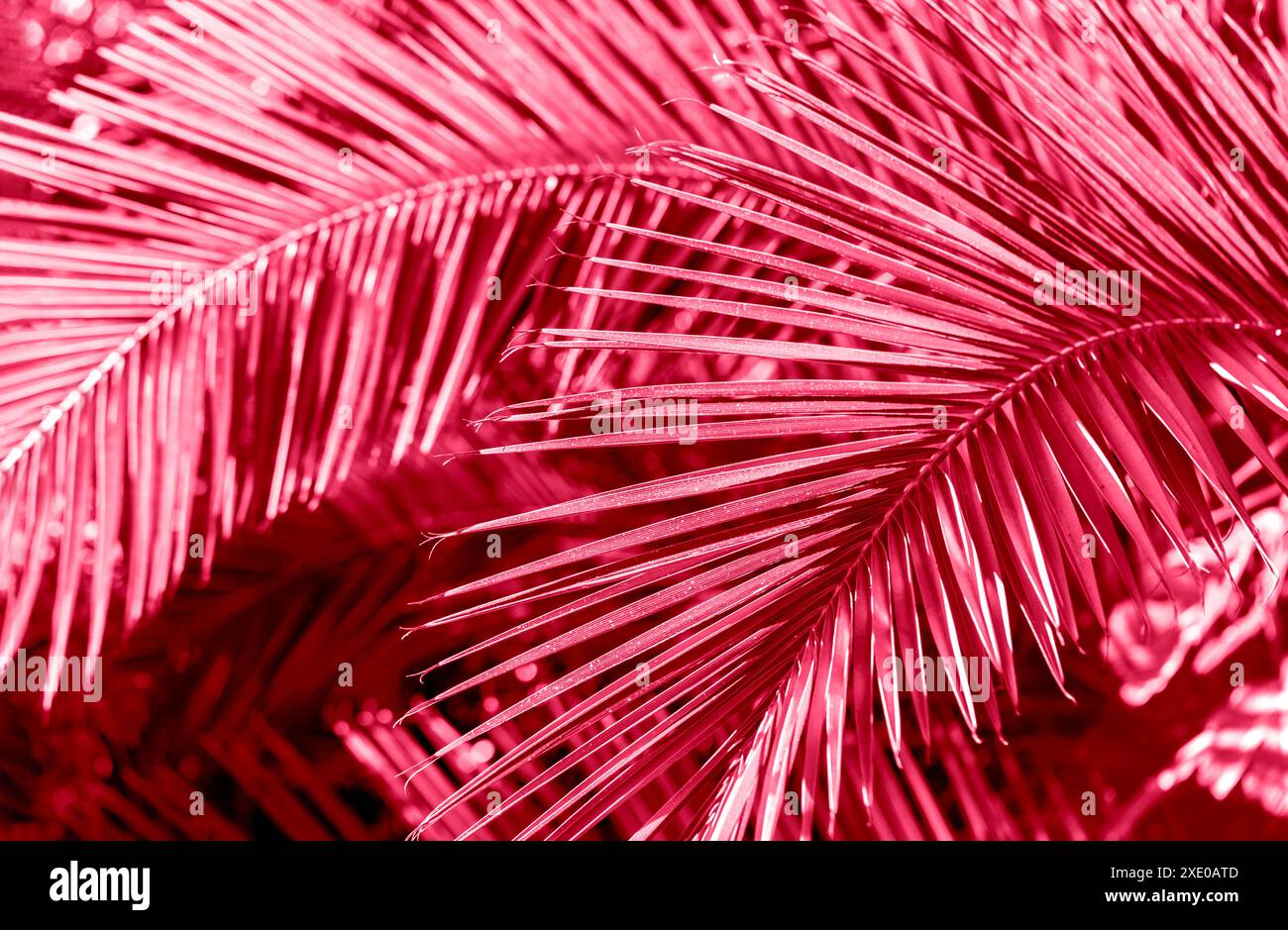 Close up tourism tropical island hi-res stock photography and images ...