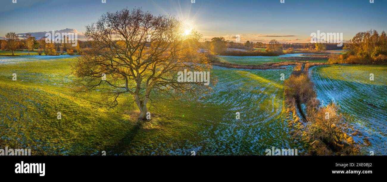 Beautiful panorama of golden autumn mood with oak tree, river meadows ...