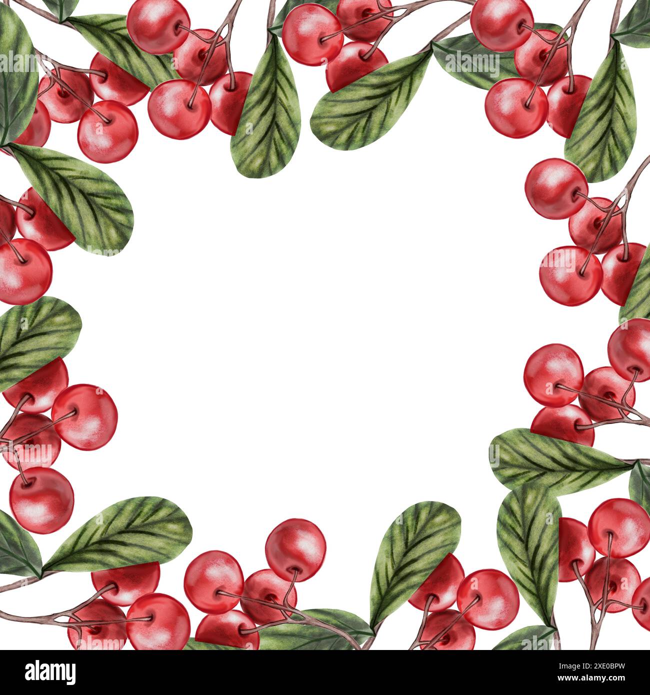 Cranberry watercolor frame. Twig with green leaves and cotoneaster hand ...