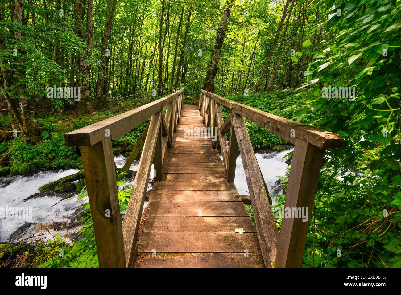 Old mossy wooden bridge hi-res stock photography and images - Alamy