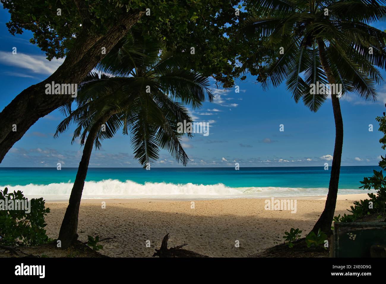 Anse Intendance beach, blue sky turquoise water, low tide with waves ...
