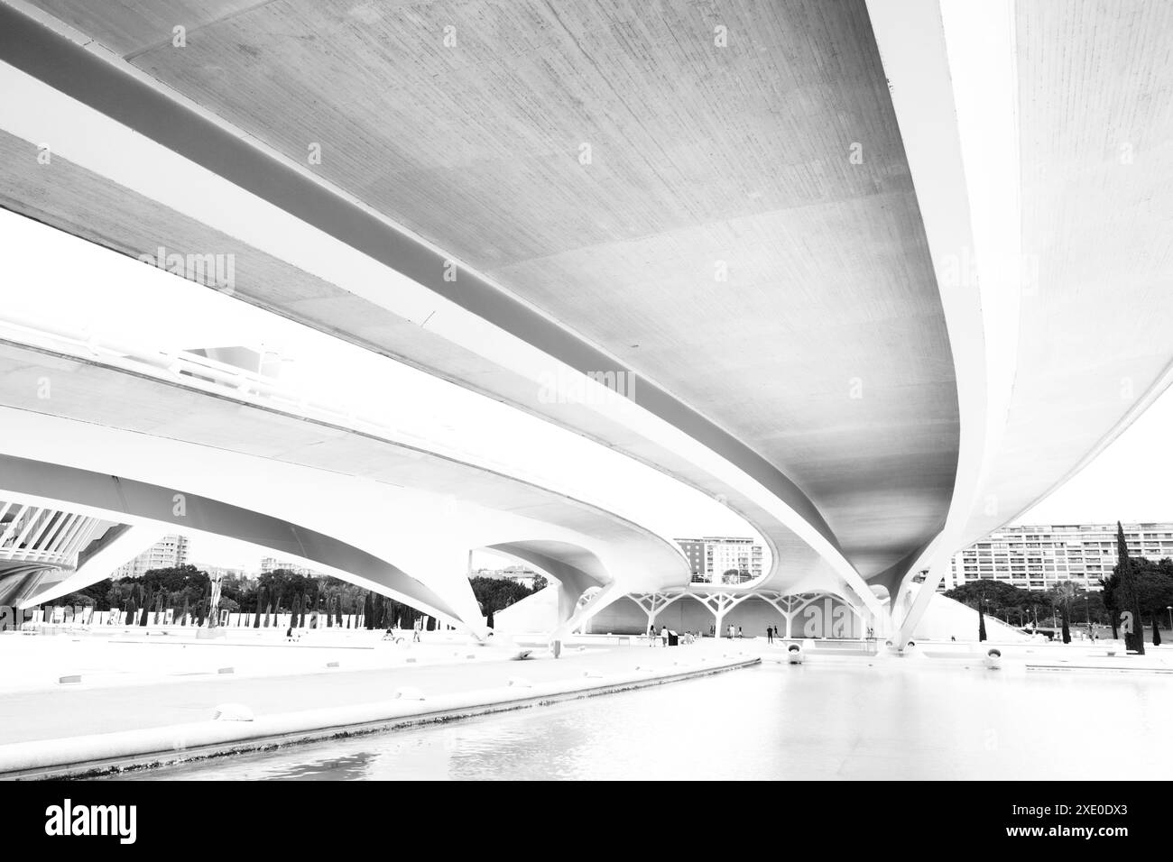 Valencia spain modern architectural Black and White Stock Photos ...