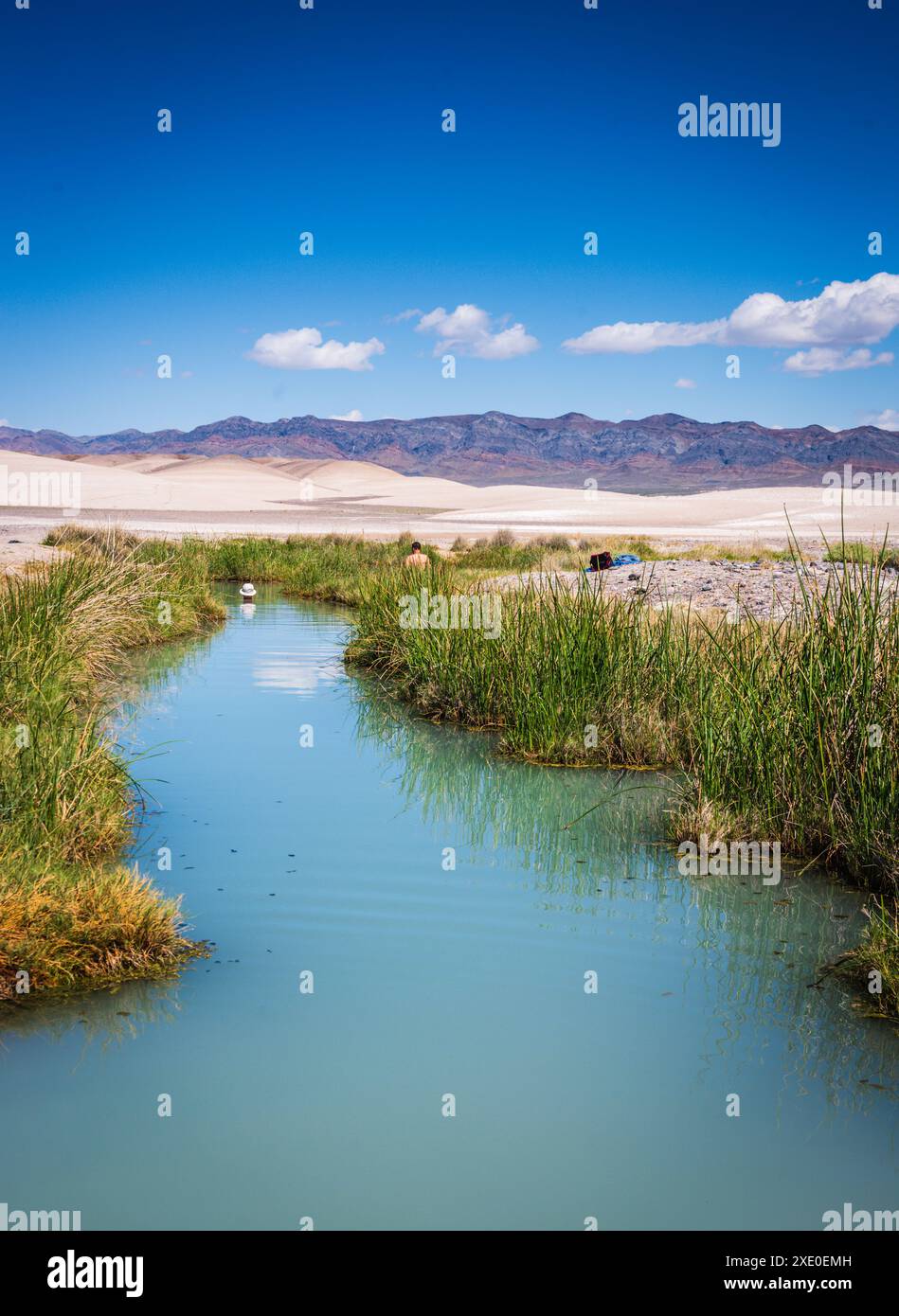 Tecopa, California USA - March 27, 2017: Tecopa Mud hot springs is an ...