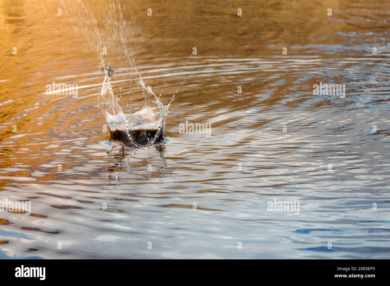 skimming stone creating splash and ripples in Llyn Padarn, North Wales ...