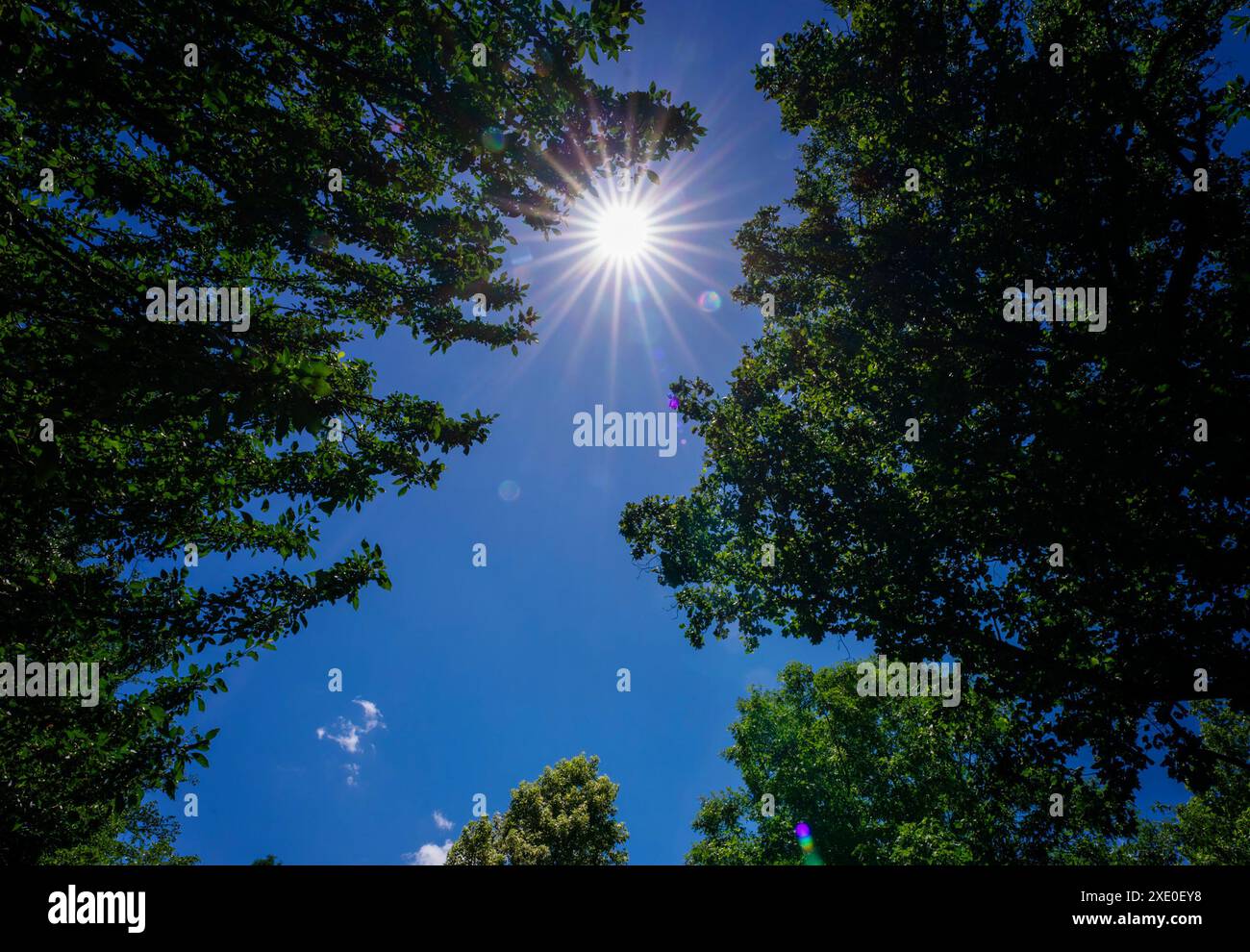 Shines down hi-res stock photography and images - Alamy