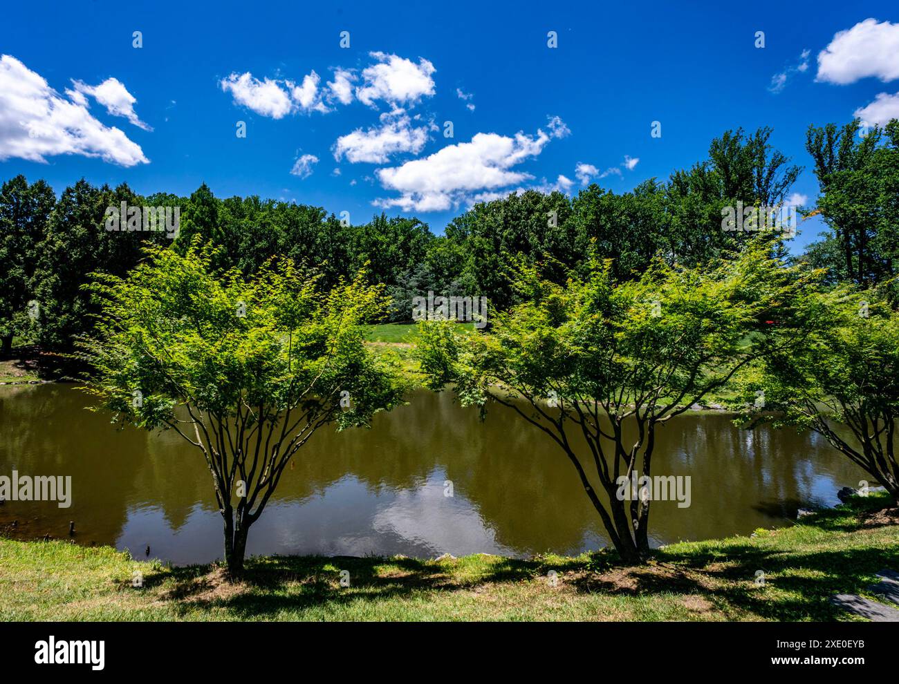 Landscaped park setting around a lake Stock Photo - Alamy