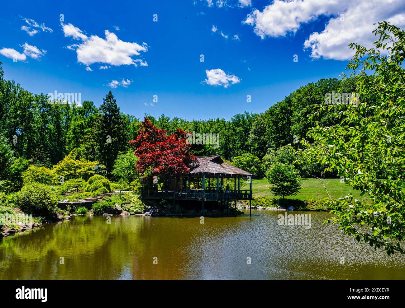 Landscaped park setting around a lake Stock Photo - Alamy