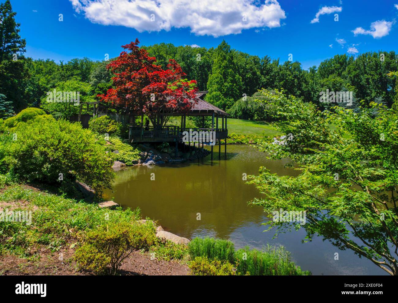 Landscaped park setting around a lake Stock Photo - Alamy