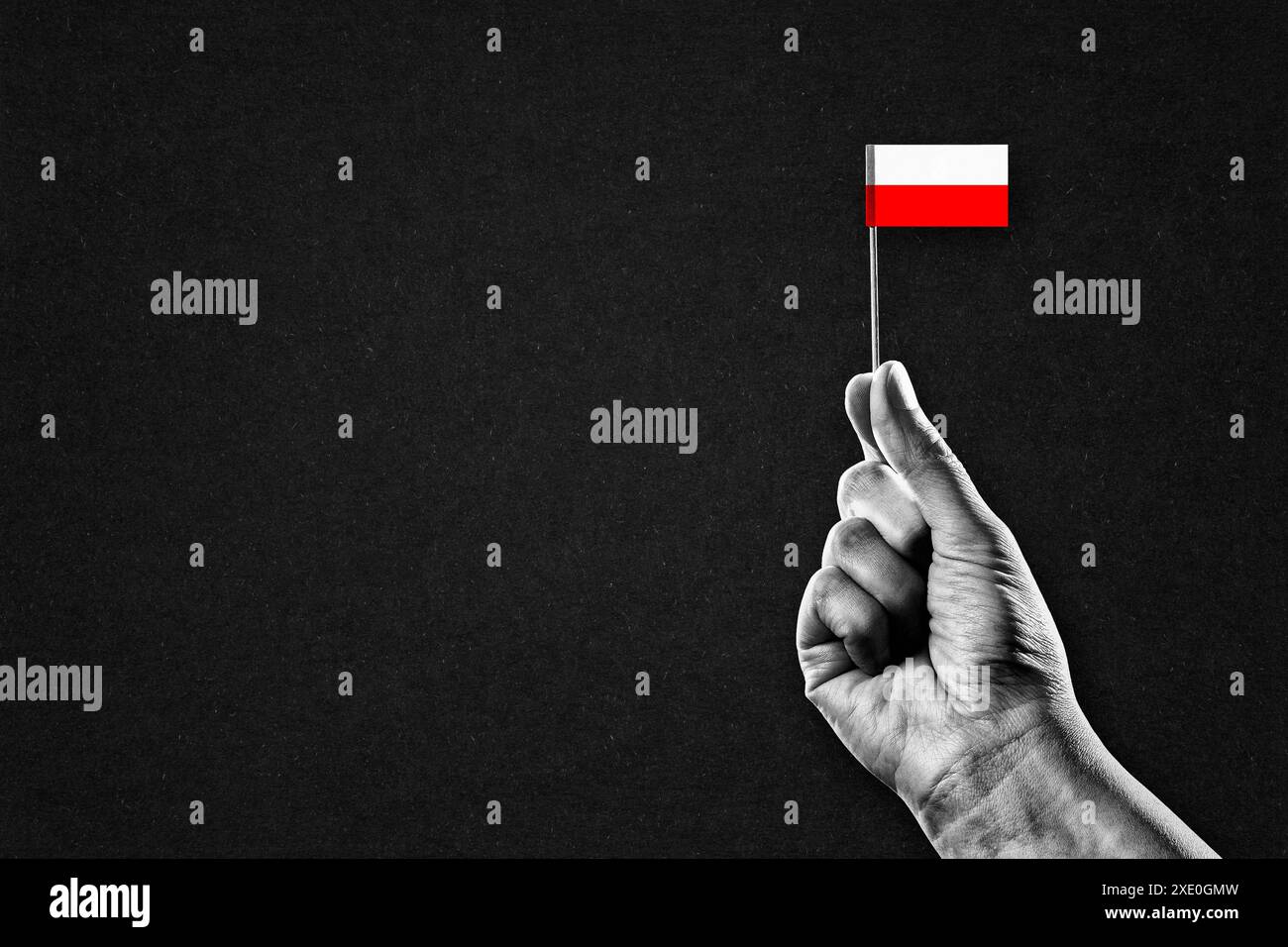 Hand in Black and White Holding Flag of Poland, Copy Space Stock Photo ...