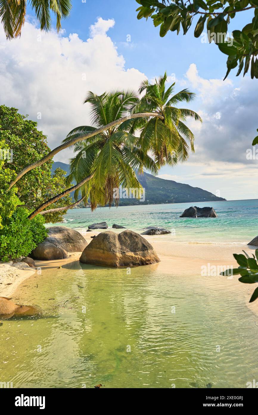 Granite rock palm trees seychelles hi-res stock photography and images ...