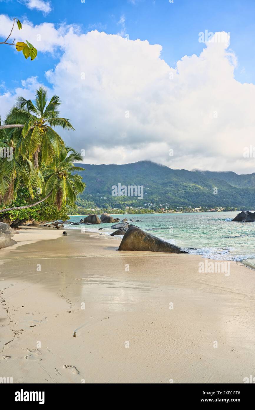 Granite rock palm trees seychelles hi-res stock photography and images ...