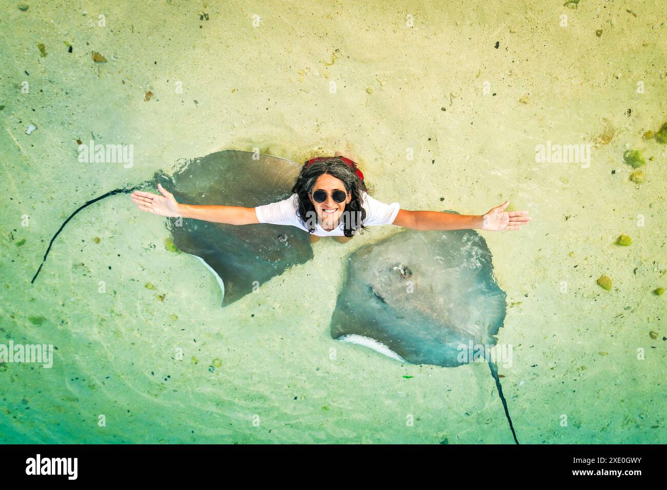 Aerial top view stingray swimming hi-res stock photography and images ...