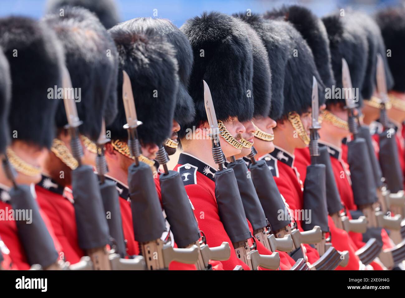 Members of the 1st Battalion Welsh Guards ahead of the Ceremonial ...