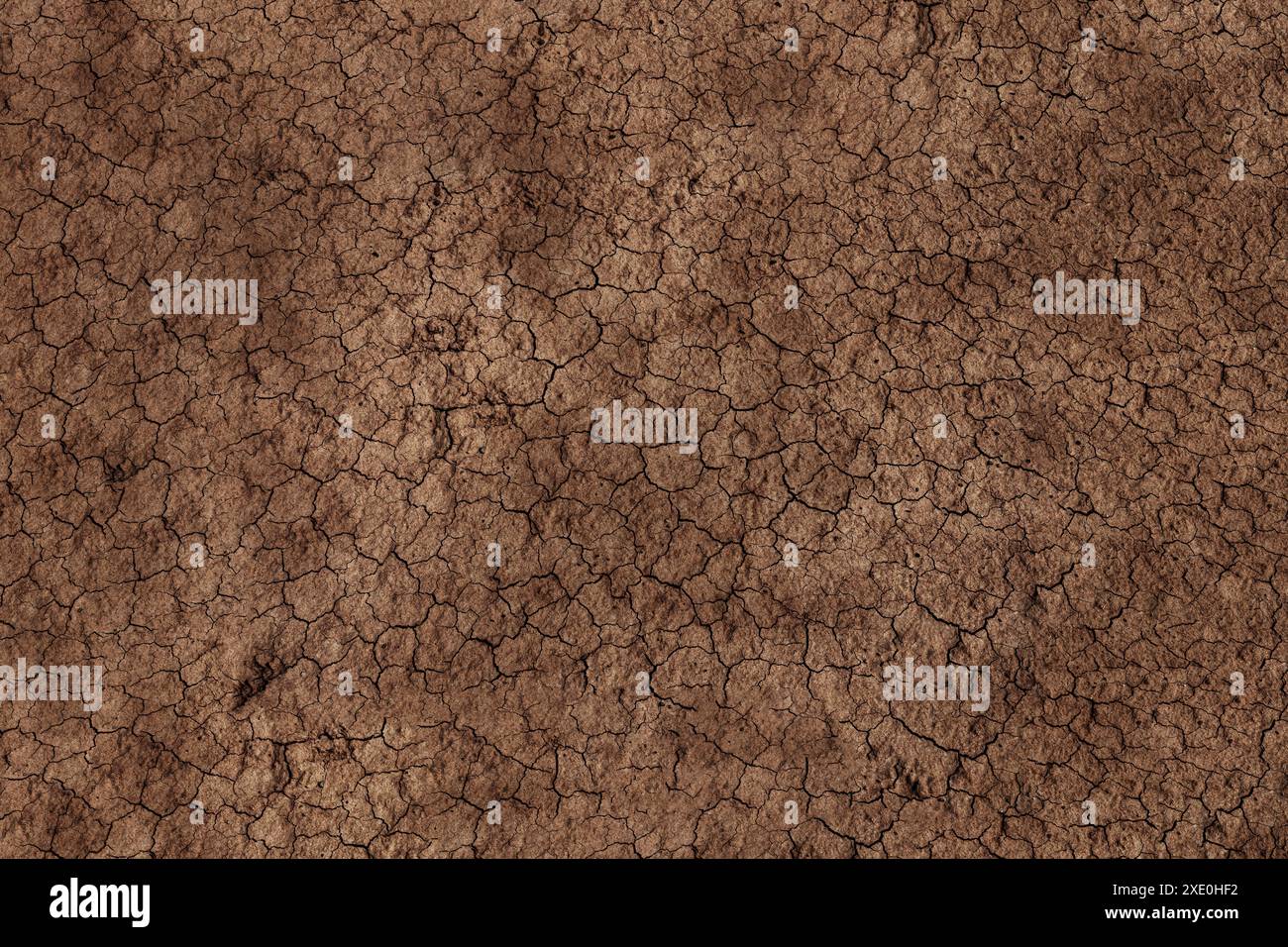 Dry cracked soil during drought Stock Photo - Alamy