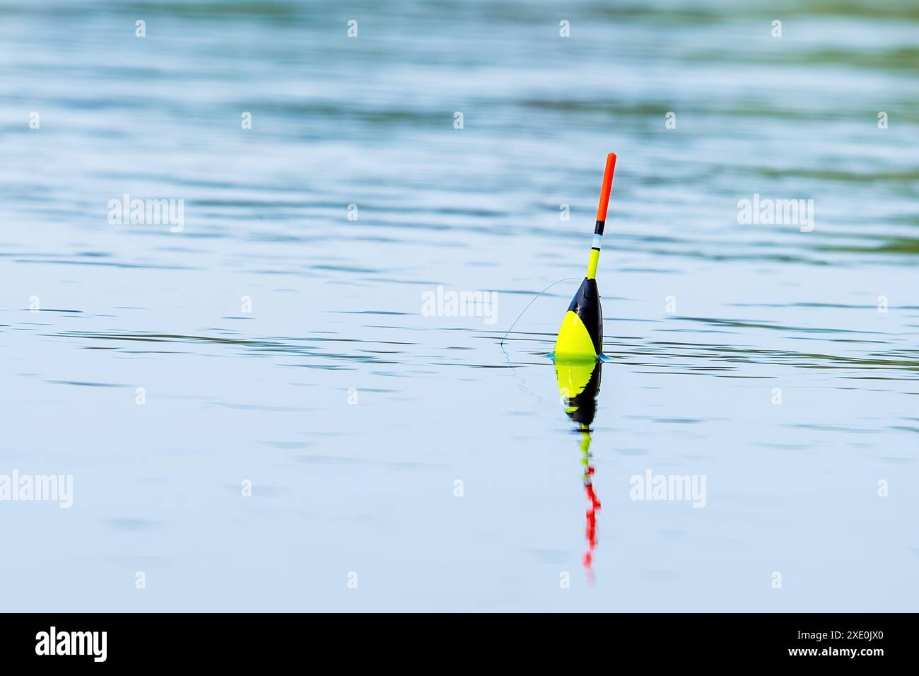 Fishing float on the water surface in close-up. Spring fishing on fresh ...