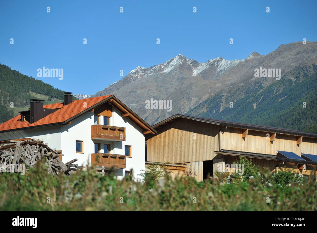Mountain farm in South Tyrol Stock Photo - Alamy