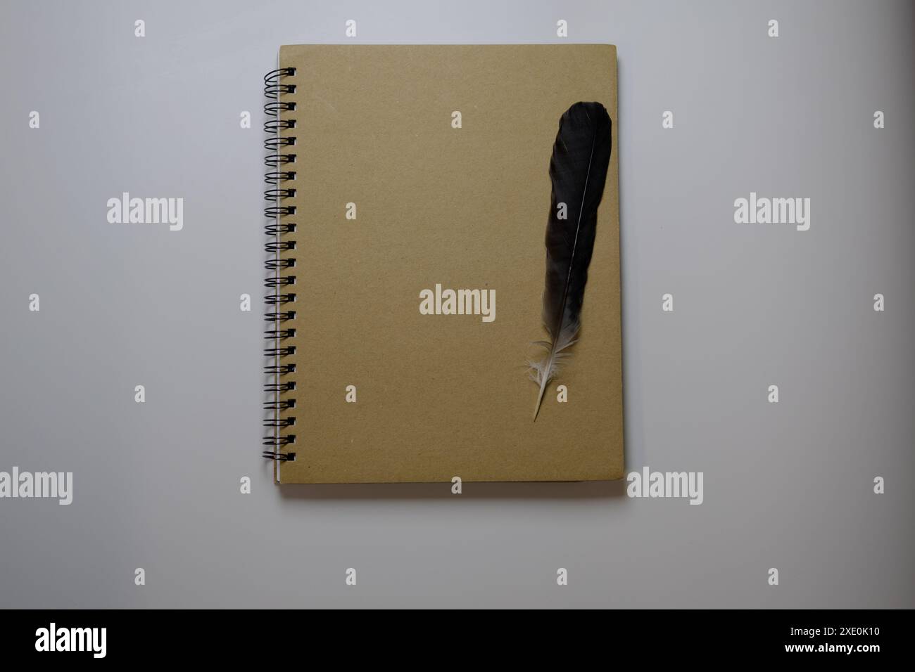Feather of a bird on a notebook diary Stock Photo - Alamy