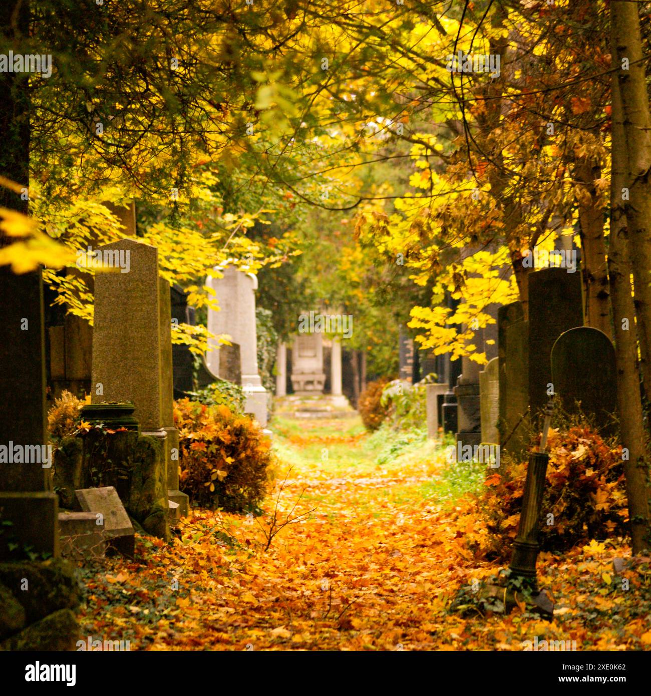 Path to cemetery hi-res stock photography and images - Alamy