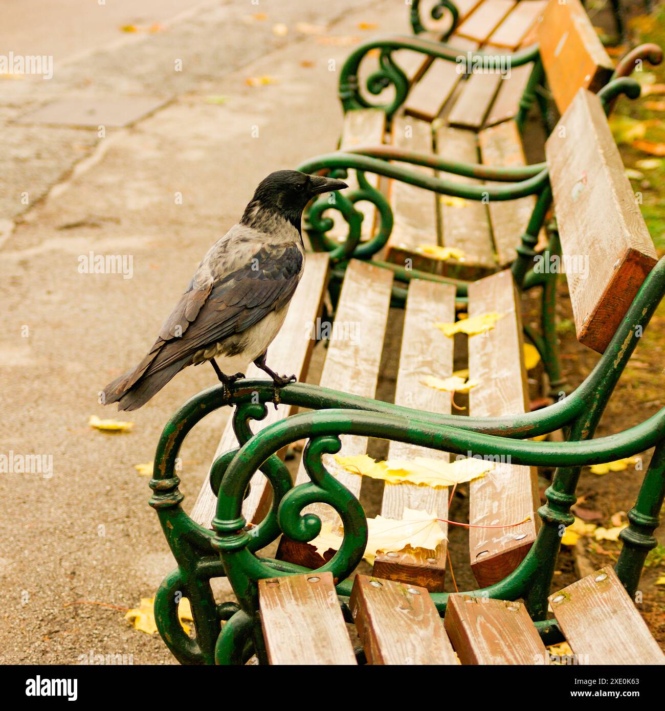 Kreahen hi-res stock photography and images - Alamy