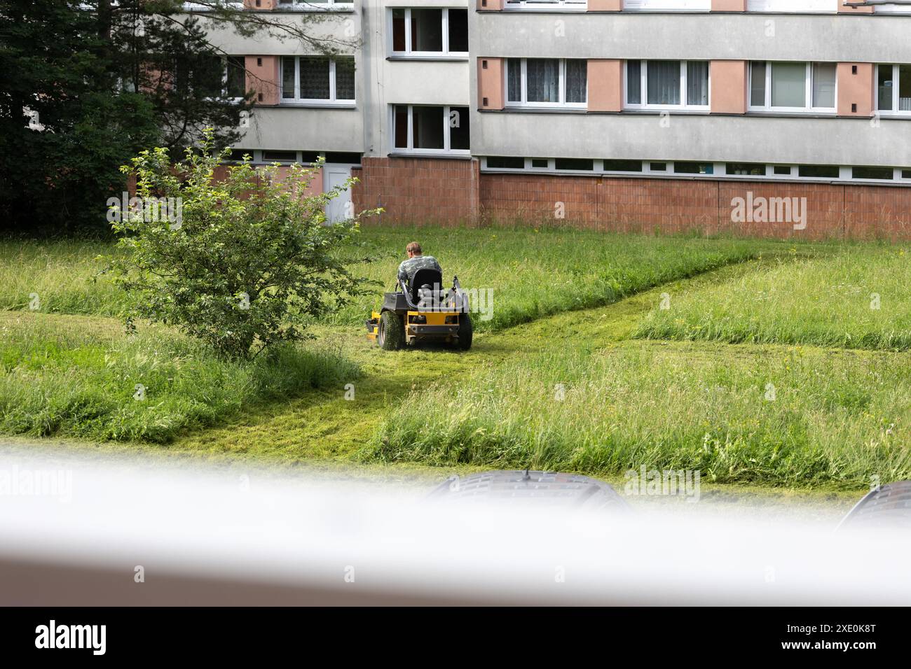 man driving lawn mower Stock Photo - Alamy