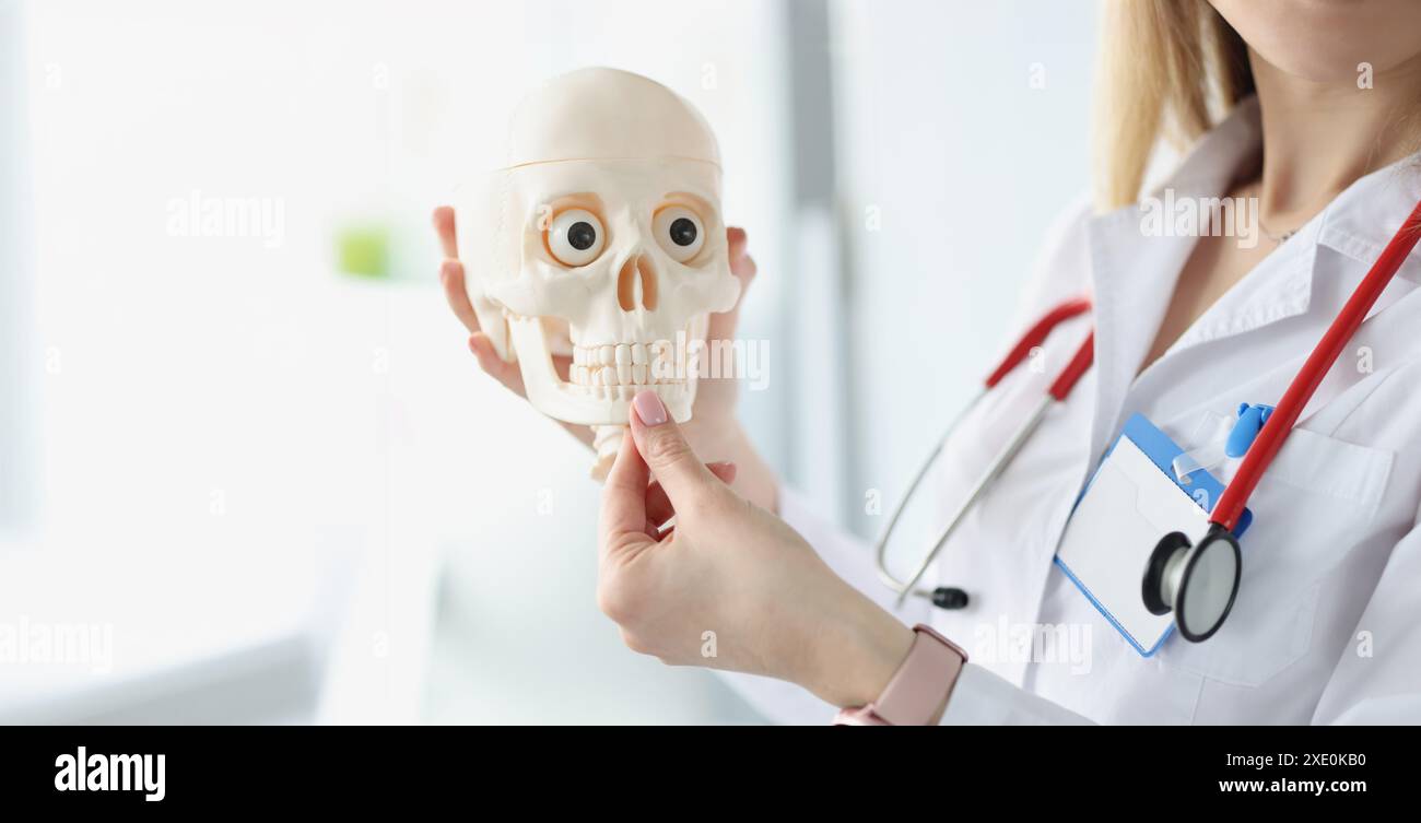 Doctor with stethoscope showing jaws on human skull closeup Stock Photo ...