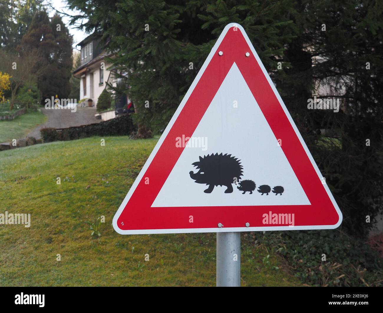 Road sign, hedgehog Stock Photo - Alamy
