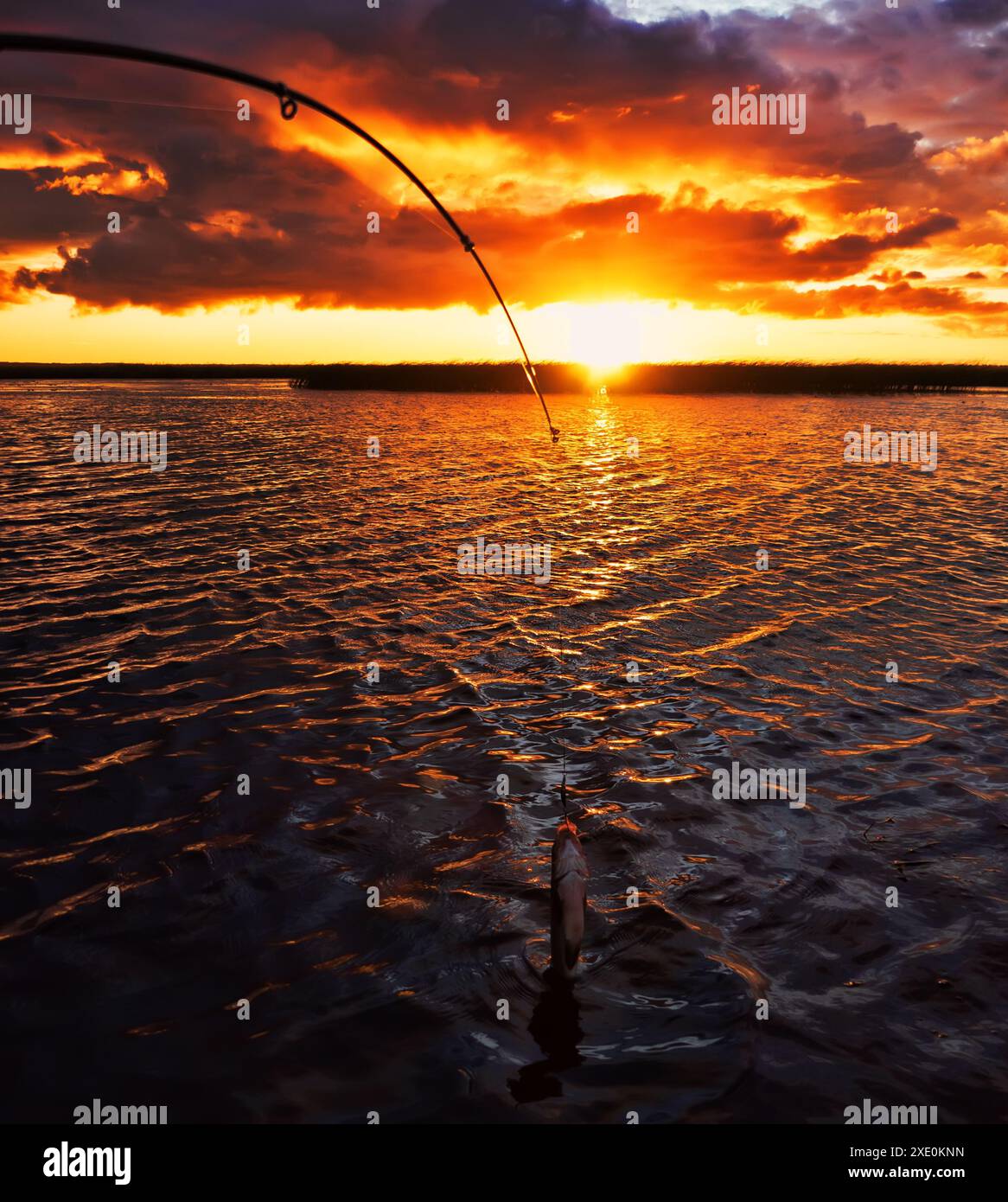 Fishing at sunset Stock Photo - Alamy