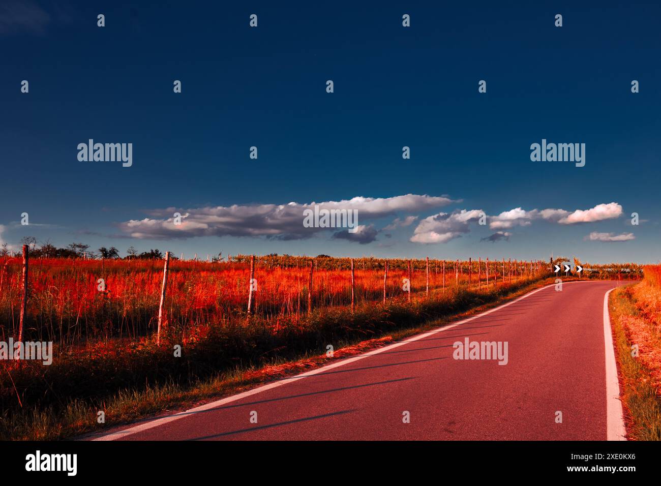 Empty road amidst field hi-res stock photography and images - Alamy