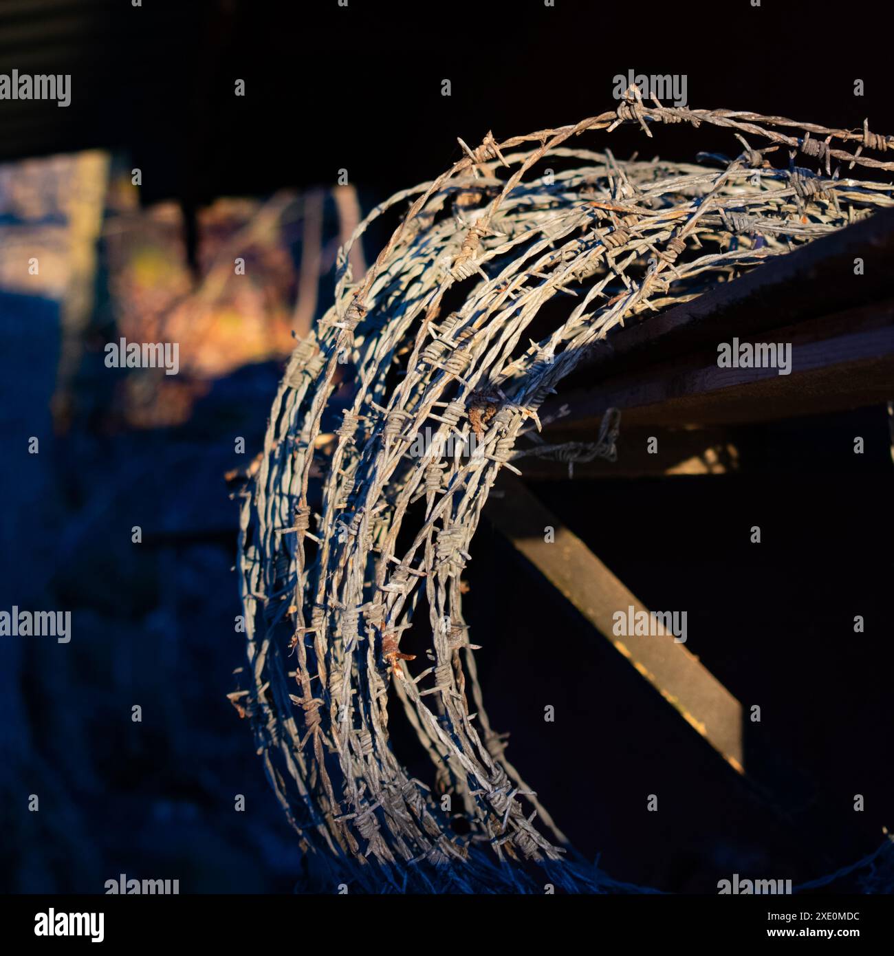 Old barbed wire on wood plankes Stock Photo - Alamy