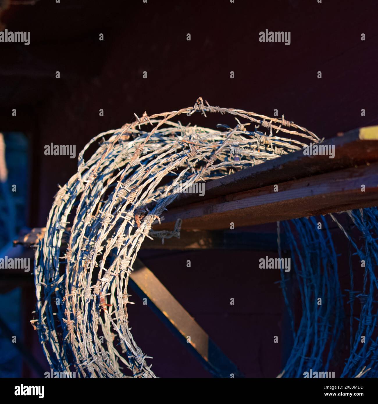 Barbed wire on wood plankes Stock Photo - Alamy