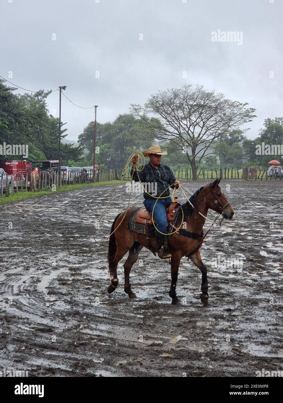 Panama, Dolega town, cowboy on horseback practicing with the lasso ...