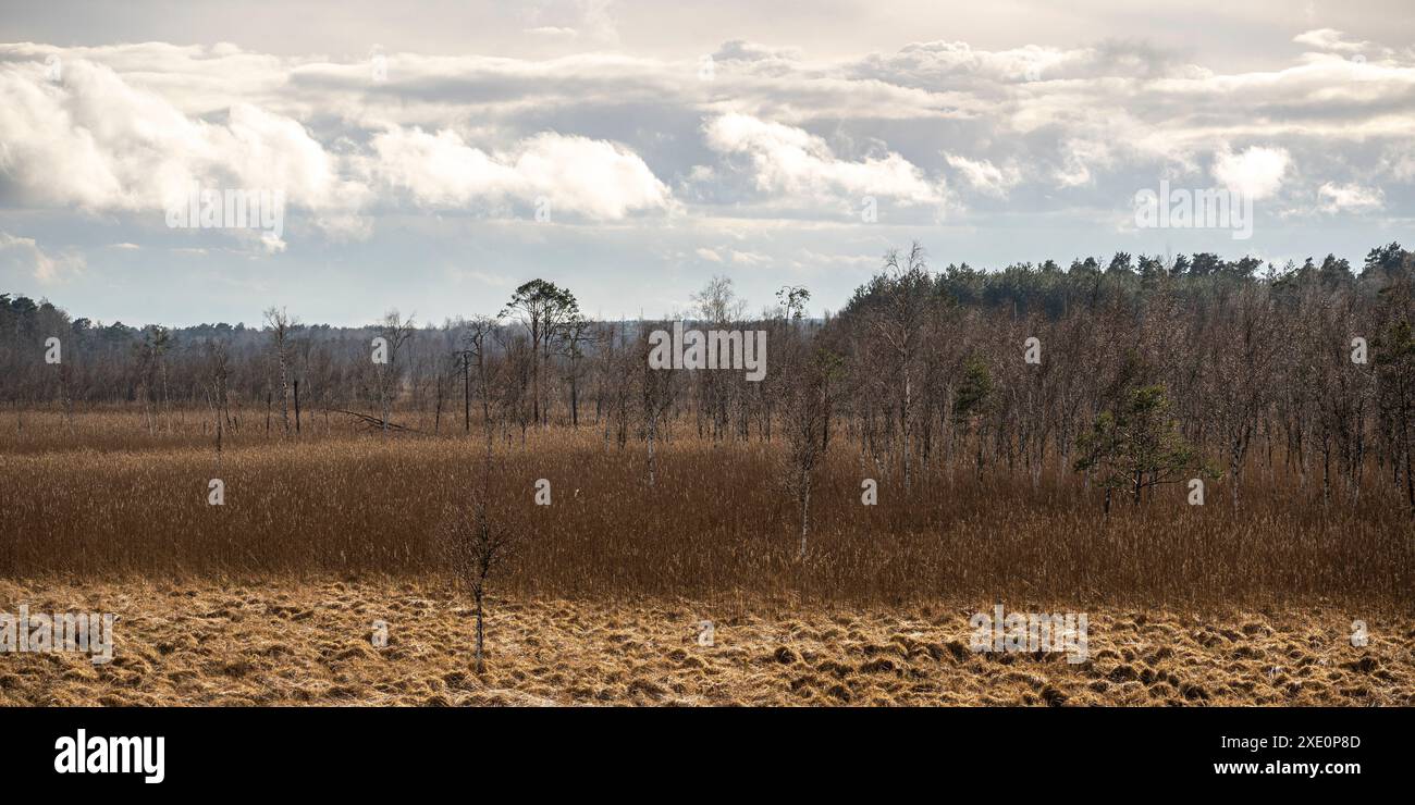 Moorland conservation hi-res stock photography and images - Alamy