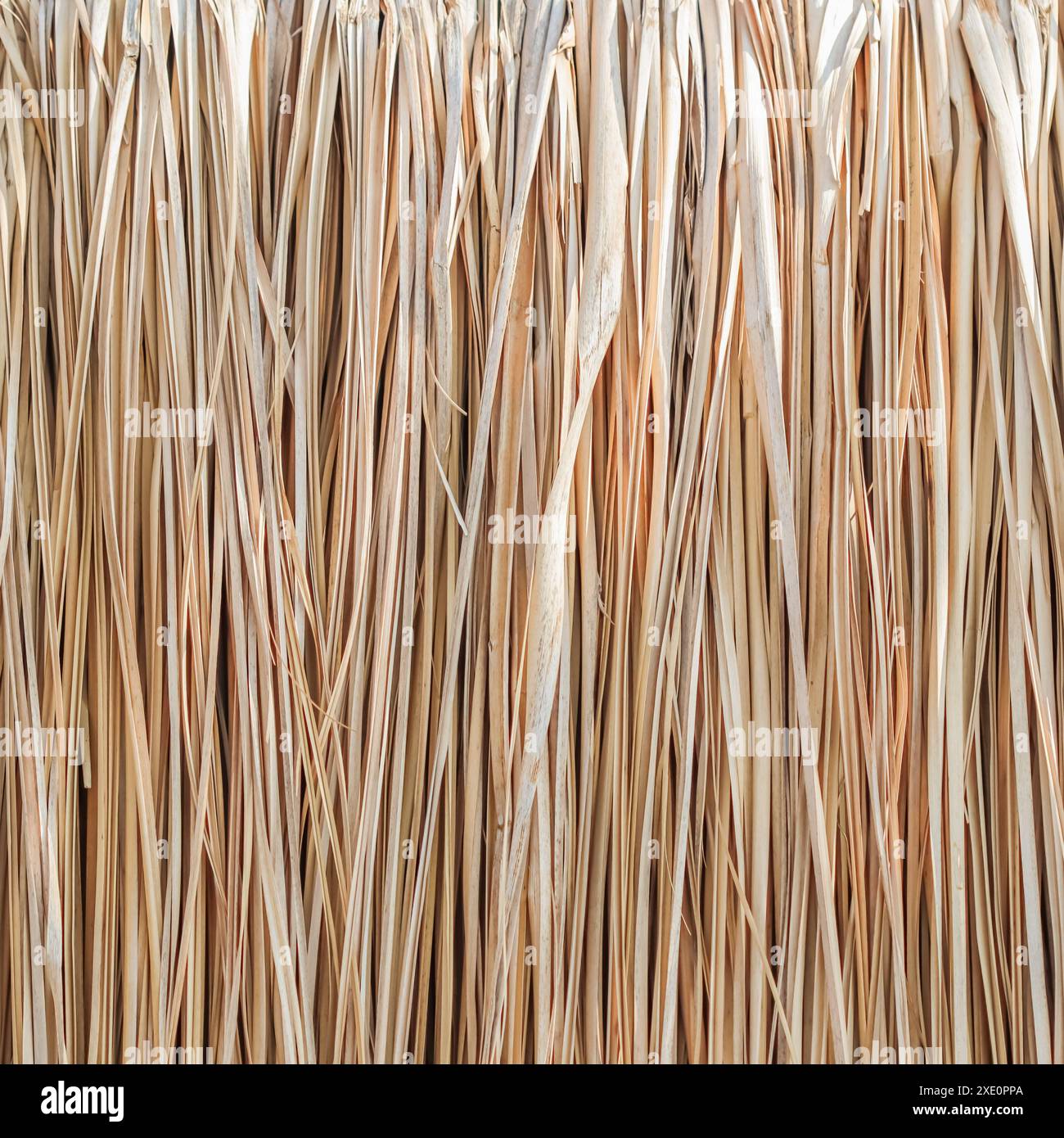 Thatch roof texture background hi-res stock photography and images - Alamy