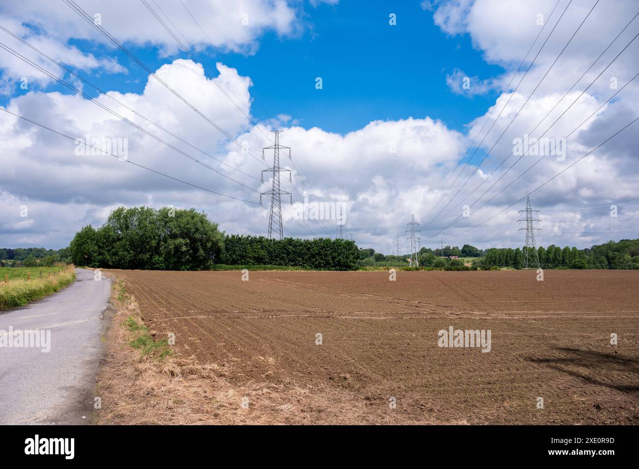 Plantation of young corn field and brown soil at the Flemish ...