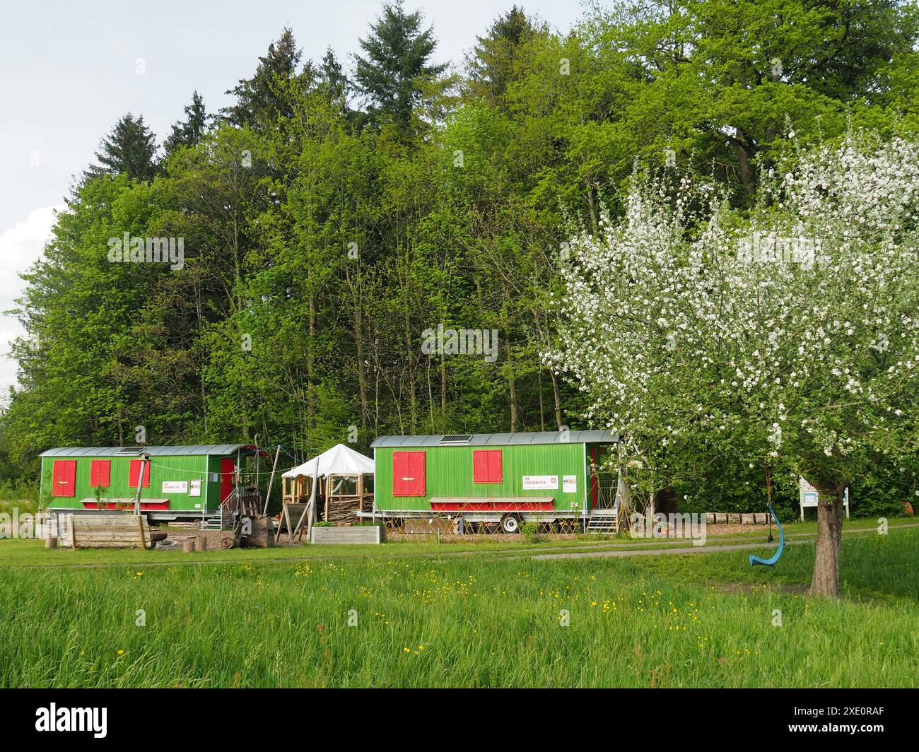 Nature education forest hi-res stock photography and images - Alamy
