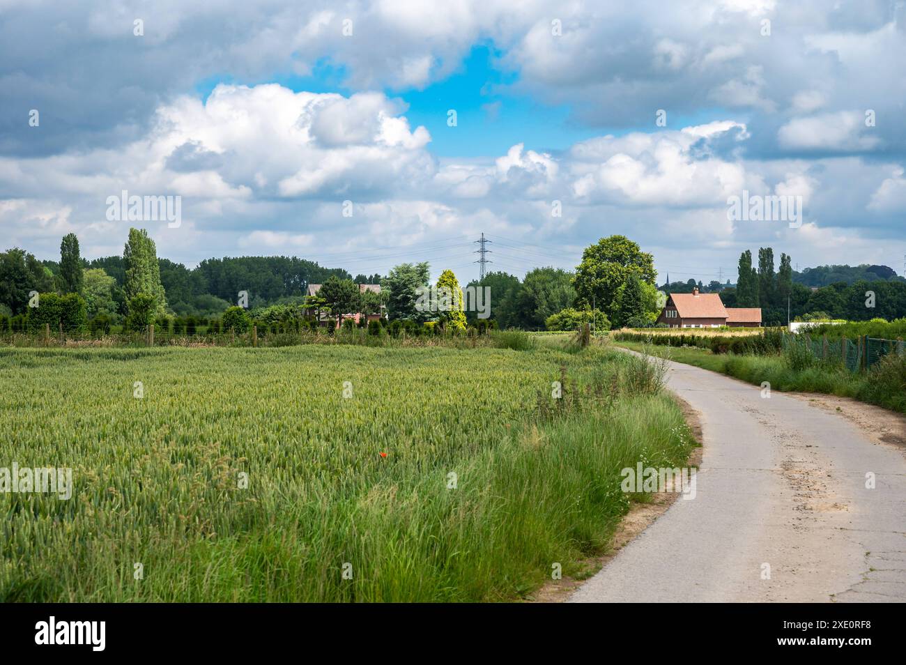 Bending countryroad through the agriculture fields around Sint Martens ...